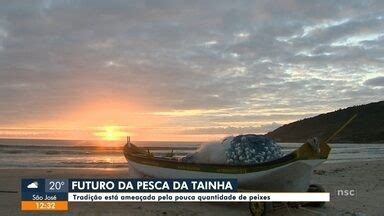 Jornal do Almoço SC Blumenau Futuro da pesca da tainha Globoplay