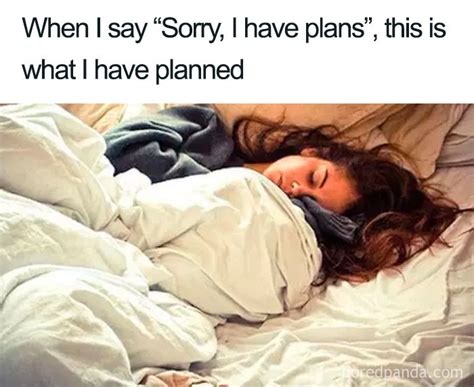 Of The Funniest Sleeping Memes Ever Bored Panda