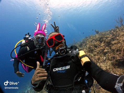 Essential Scuba Diving Tips For New Divers The Wandering Afro