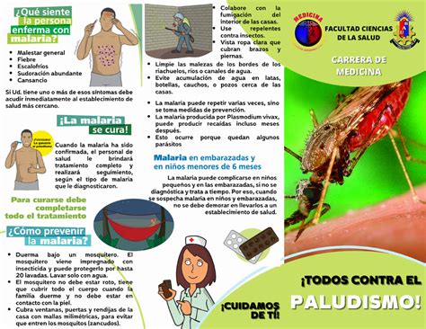 Malaria Triptico Medicina Studocu