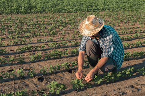 Veja Os Detalhes Do Novo Cadastro Da Agricultura Familiar CompreRural