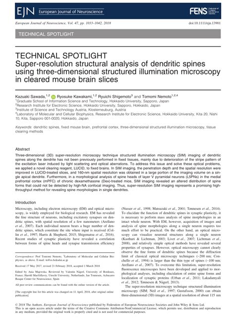 pdf super resolution structural analysis of dendritic spines using three dimensional