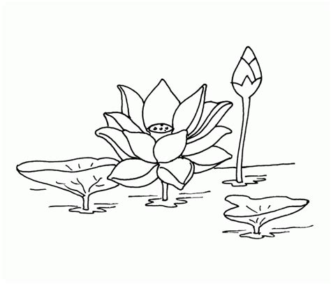 Dibujos De Flor De Loto Para Colorear E Imprimir