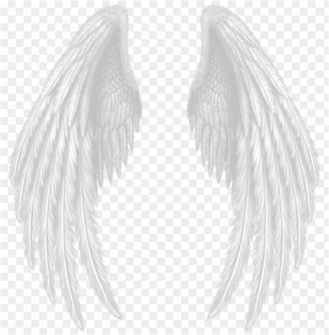 Imagem De Asas Para Picsart Png Transparent With Clear Background Id
