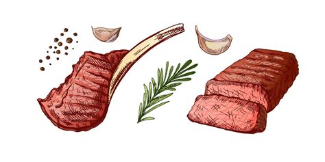 Organic Food Hand Drawn Colored Vector Sketch Of Grilled Beef Steak