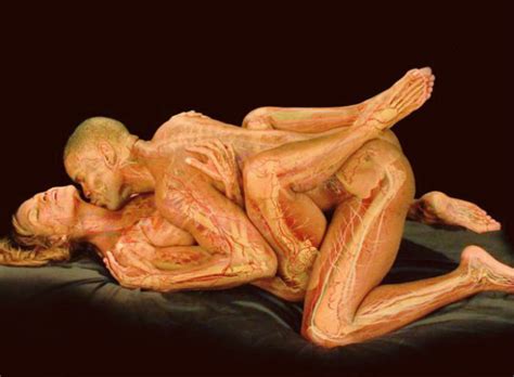 Cuando Tienes Sexo As Luce Tu Cuerpo Salud