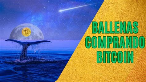 BALLENAS COMPRAN BITCOIN HOY YouTube