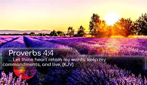 200 Aesthetic Bible Verse Wallpapers Wallpapers