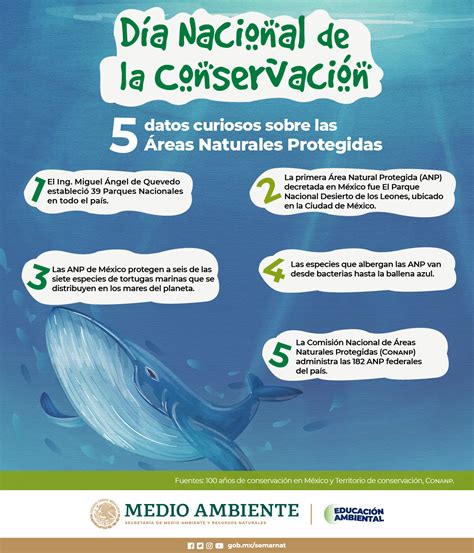 Educación Ambiental