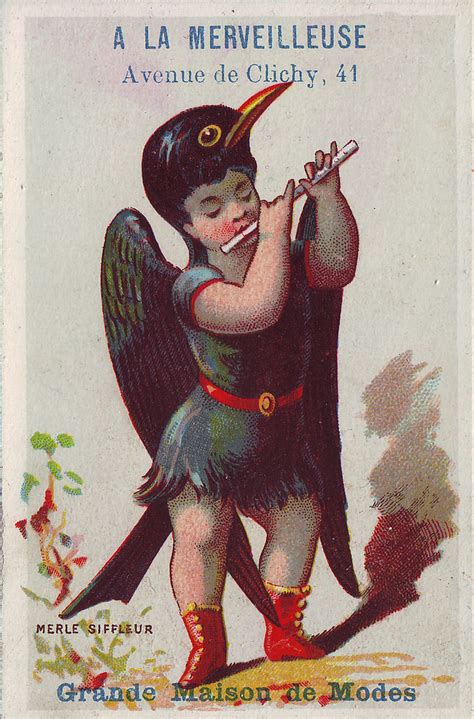 CHROMO A LA MERVEILLEUSE MERLE SIFFLEUR COURBE ROUZET Flickr