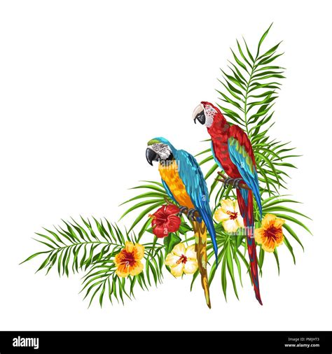 Tropical Background With Parrots Stock Vector Image Art Alamy