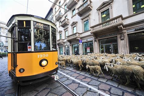 Reasons To Love Milan Because Milan S Second Largest City And My
