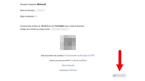 CPF como consultar situação cadastral no site da Receita Federal