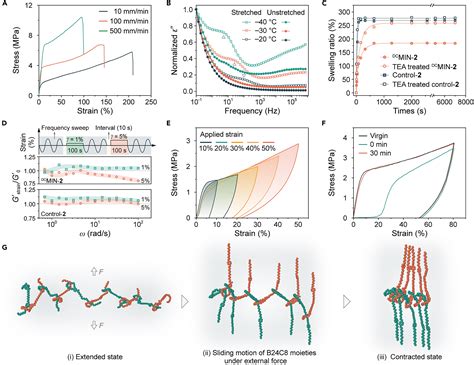 Mechanically Interlocked An Daisy Chain Networks Chem