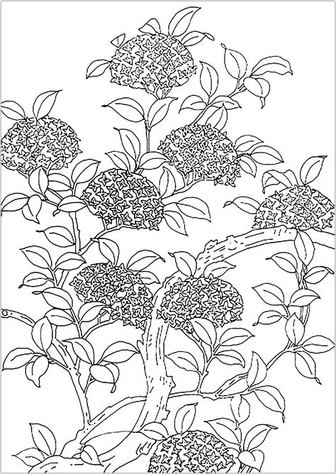 Desenhos para colorir de Flores e vegetação para baixar Flores e