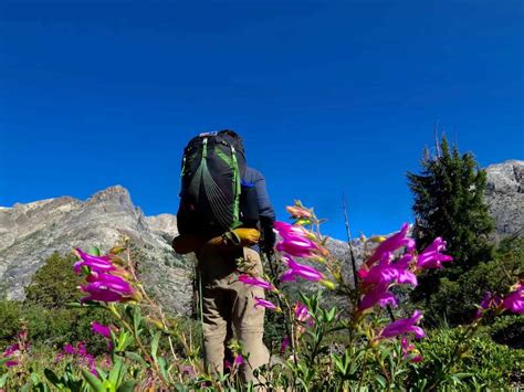 PCT Day 66 Hike Naked Day BikeHikeSafari