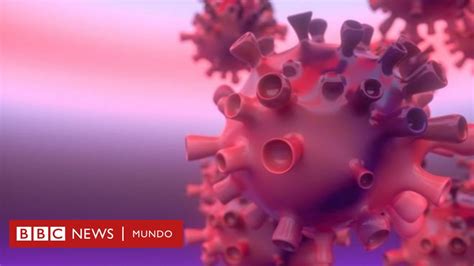 Coronavirus cuándo terminará el brote y volverá todo a la normalidad