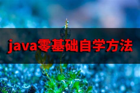 java零基础自学方法 知乎