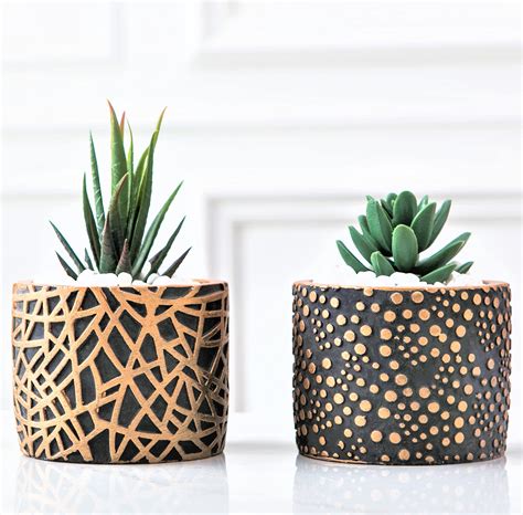 Details Imagen Macetas Para Plantas De Interior Abzlocal Mx