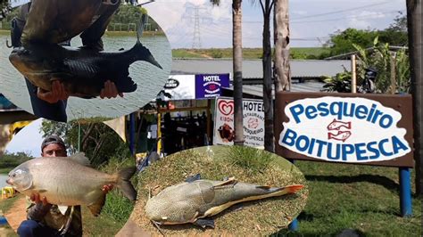 Pesqueiro Boitupesca SAIU PEIXE O DIA TODO Essa Pescaria Foi De Doer