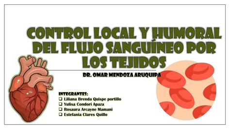 Control local y humoral del flujo sanguíneo por los tejidos Rosaura