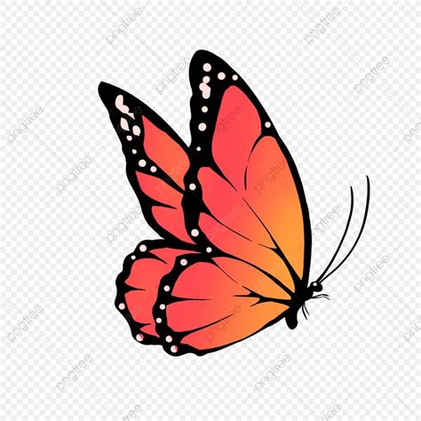 Imágenes Prediseñadas De Mariposa Monarca De Dibujos Animados PNG
