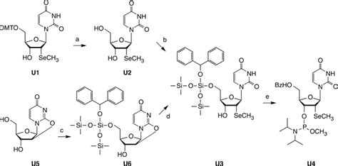 Scheme 4 Synthesis Of The 2 Methylseleno Uridine Phosphoramidite U4