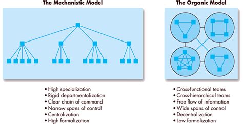 Why Do Structures Differ Essentials Of Organizational Behavior 14 E