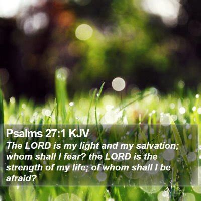Psalm The Message Kjv Phaedorhory