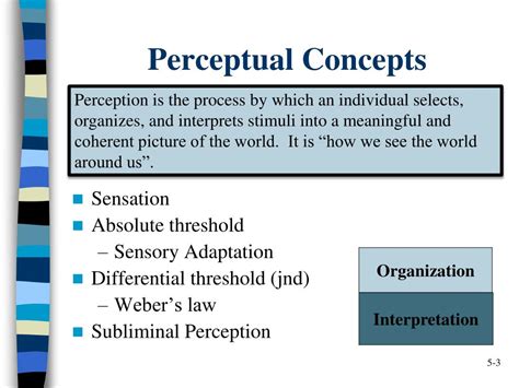 PPT Chapter 5 Consumer Perception PowerPoint Presentation Free