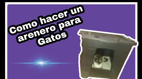 Como Hacer Un Arenero Para Gatos De Todo Con Cindyushka Youtube