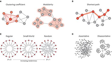 graph theory for identifying connectivity patterns in human brain networks geometry matters