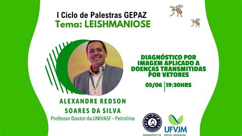 Dia Diagn Stico Por Imagem Aplicado A Doen As Transmitidas Por