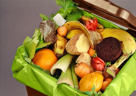 Sintra promove ações de sensibilização ao desperdício alimentar