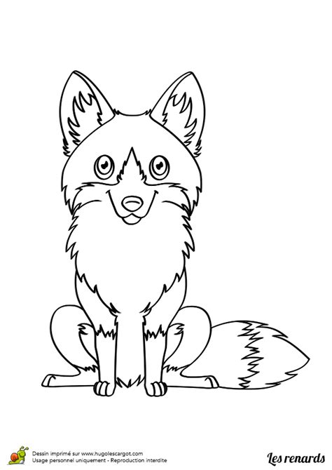 Coloriage Petit Renard Assis Sur Hugolescargot