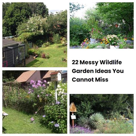 Messy Wildlife Garden Ideas You Cannot Miss Sharonsable