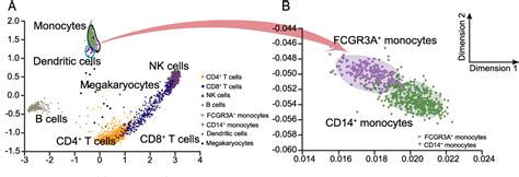 Figure 1 From Vasc Dimension Reduction And Visualization Of Single Cell Rna Seq Data By Deep