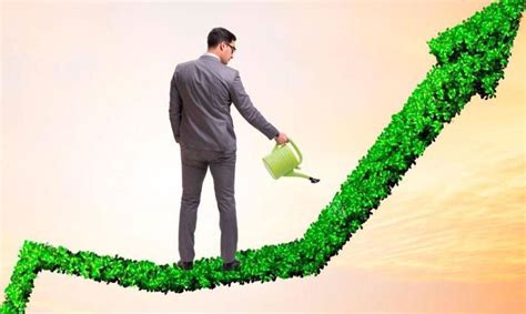 Cuáles son los beneficios de ser una empresa sostenible Diario