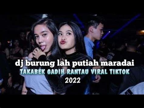 DJ BURUNG LAH PUTIH MARADAI VIRAL TIKTOK 2022 Asyik Banget YouTube