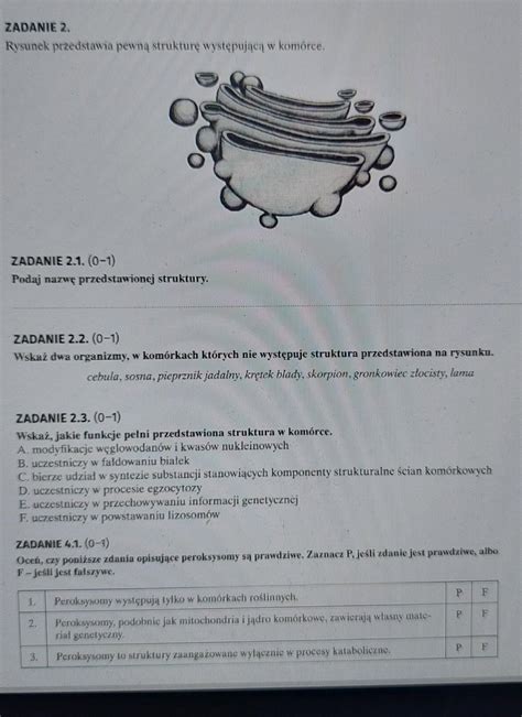 szybko proszę o pomoc Brainly pl