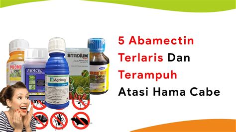 5 Insektisida Abamektin Paling Ampuh Dan Terlaris Kendalikan Hama