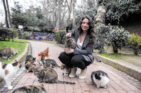Capturing The Real Lives Of Istanbul S Street Cats In Kedi Chicago