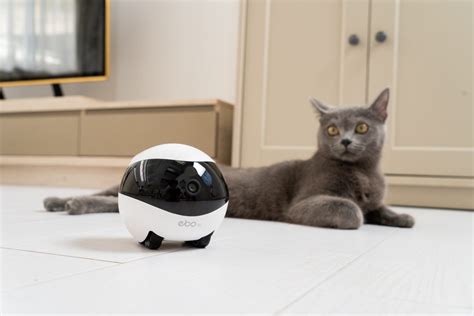 Ruchoma Kamera Dla Zwierz T Domowych Ebo Se Smart Kamery Obroza