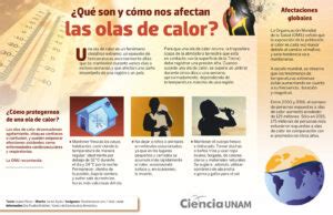 Olas De Calor Causas Consecuencias Y Altas Temperaturas Explicadas