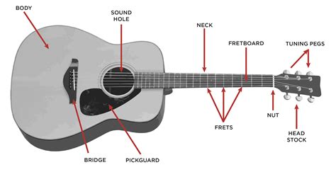 Parts Of Acoustic Guitar Diagram