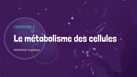 Chapitre Le M Tabolisme Des Cellules