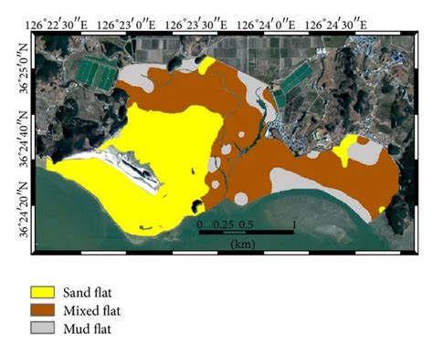 surface sediment facies distribution generated by indicator kriging download scientific diagram