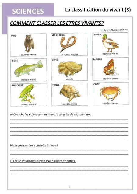 Sciences La Classification Du Vivant Comment Classer Les Etres