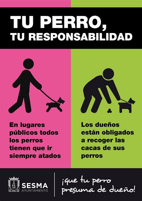 Aviso Prohibido Excrementos De Mascotas Buscar Con Google Due Os De
