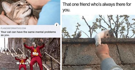 Funny Cat Memes For People Who Have Separation Anxiety From Their Cats
